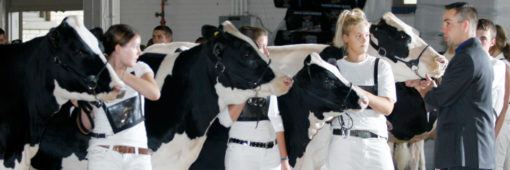 NYS Exhibitor Self-Service Portal - The Great New York State Fair